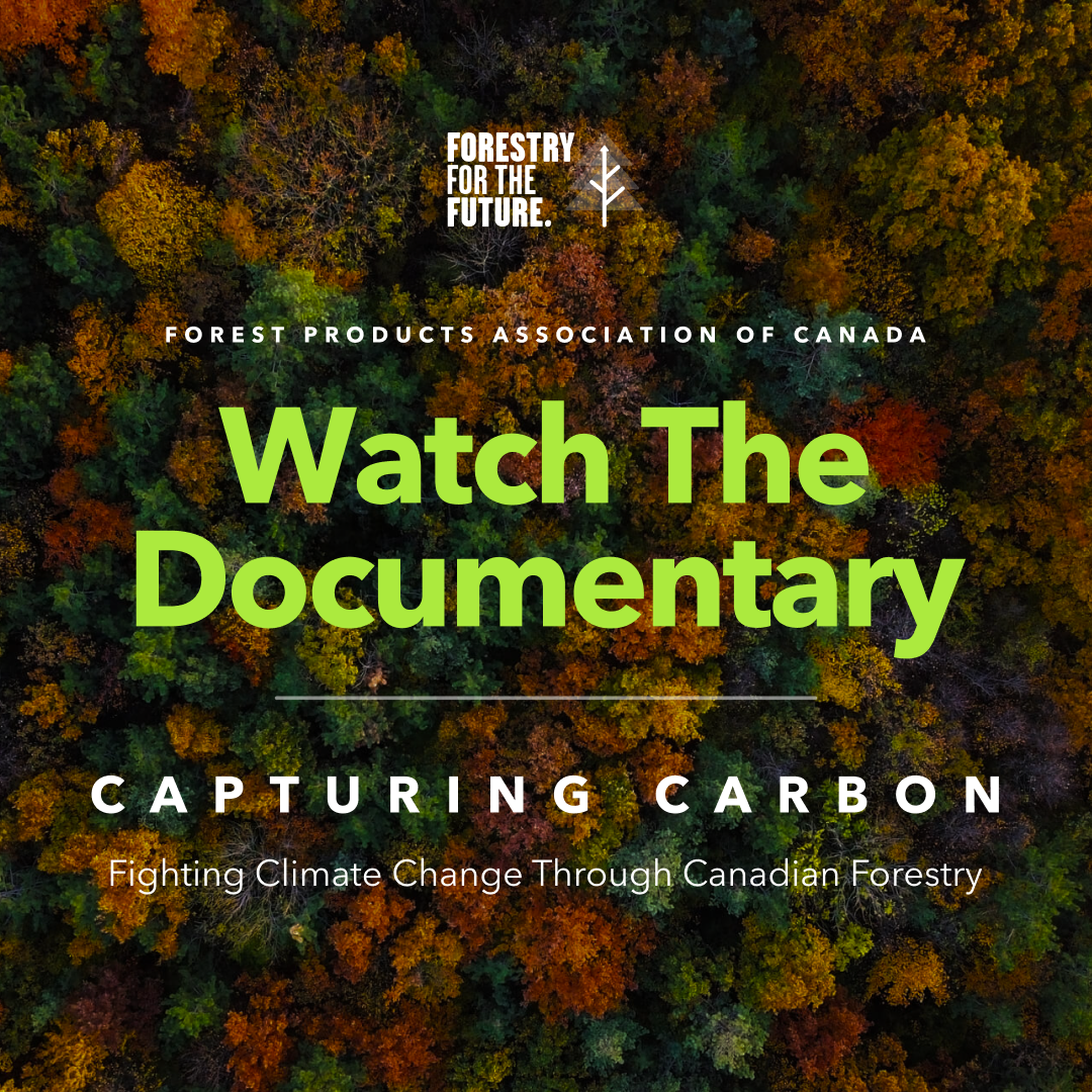 Capturing Carbon - Element5